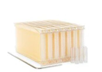 Flow Hive, Flow Hive 2, Flow hive classic, Flow Hive Hybrid, Flow Hive ...