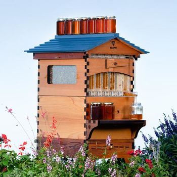 Flow Hives for Easy Beekeeping | The Basin Backyard
