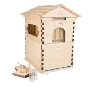 Buy Flow Hive hybrid online