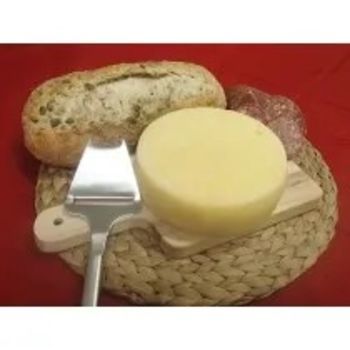 Shop Cheese Making Supplies | The Basin Backyard